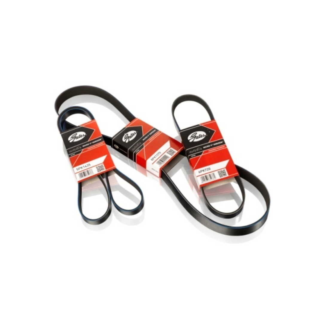 Acura RSX-S K20 Gates Racing Belt – Ignition Speed Shop